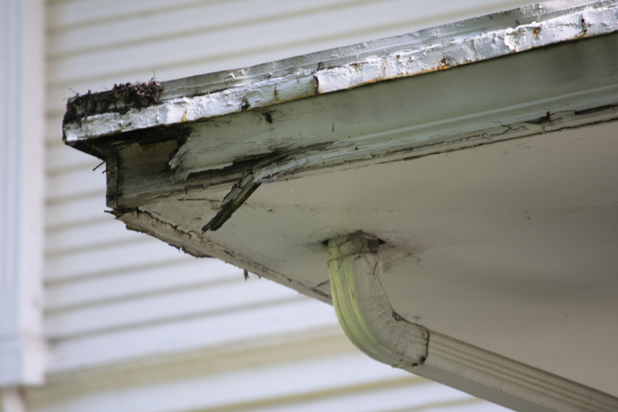 6 Ways Your Old Gutters Are Damaging Your Home - Chase Roofing LLC